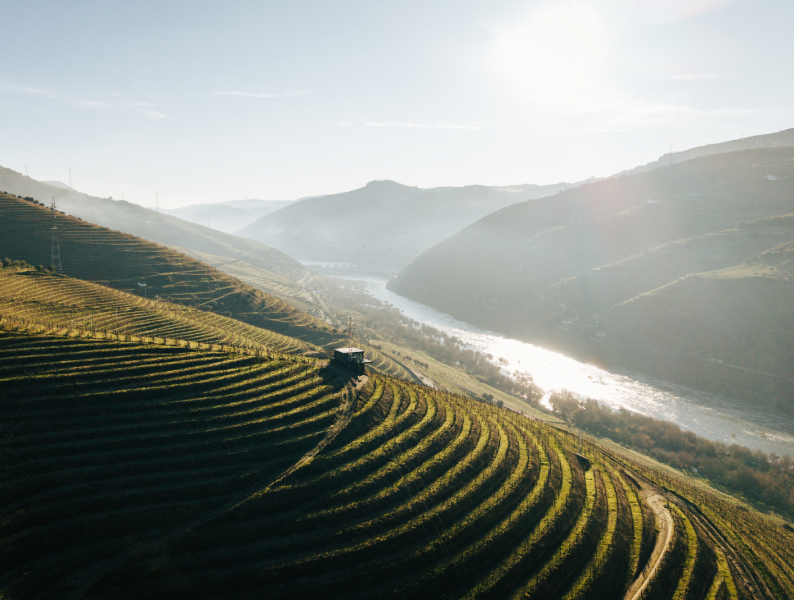 Portugal Signature Wine Journey: A Bespoke Exploration of Alentejo and ...